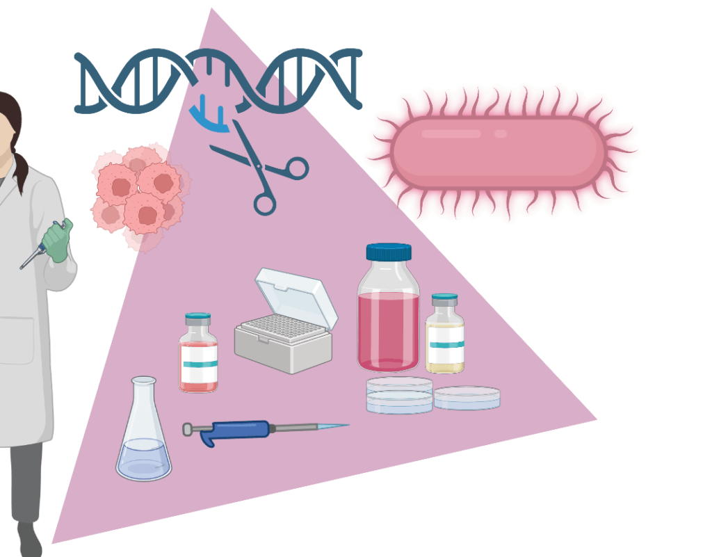 Solve crimes with DNA fingerprinting and gel electrophoresis